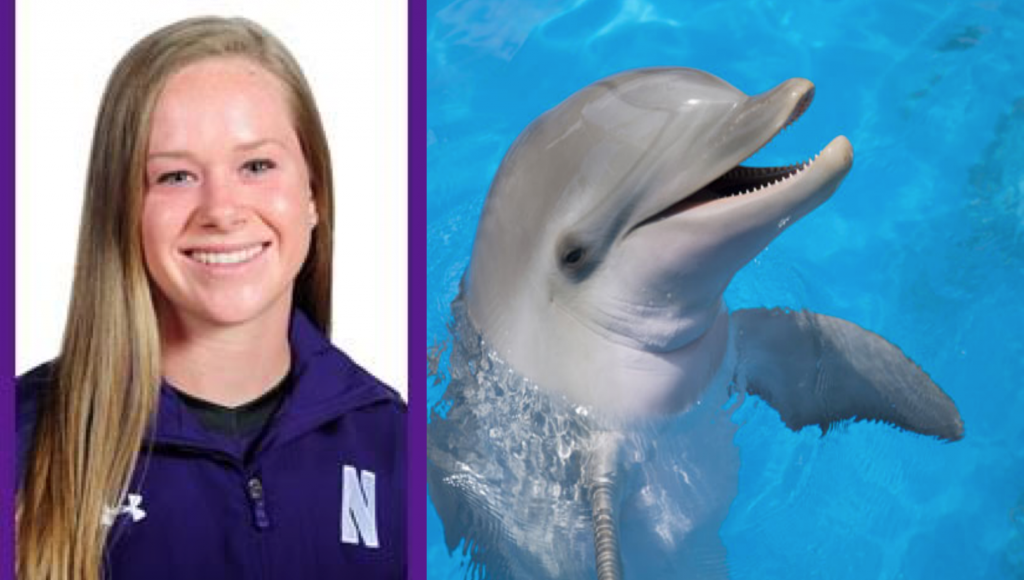Michelle Manning – Central Auditory Physiology Laboratory